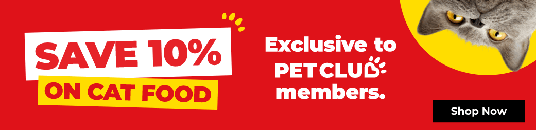 Cat Supplies & Accessories | Food, Toys & More | Jollyes