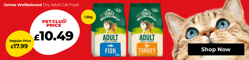 Cat Supplies & Accessories | Food, Toys & More | Jollyes