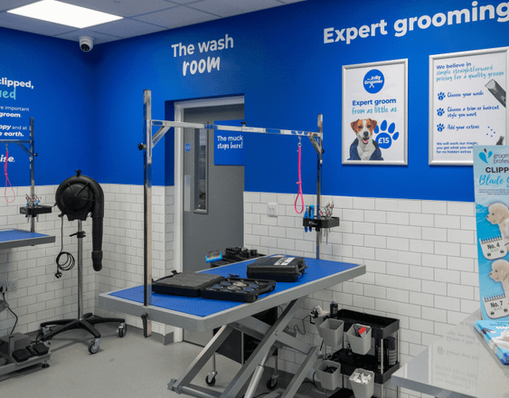 The Jolly Groomer | Dog Grooming In-Store | Jollyes
