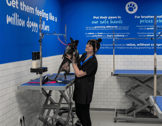 The Jolly Groomer | Dog Grooming In-Store | Jollyes