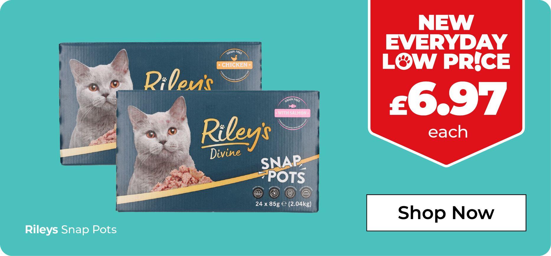 Cat Supplies & Accessories | Food, Toys & More | Jollyes