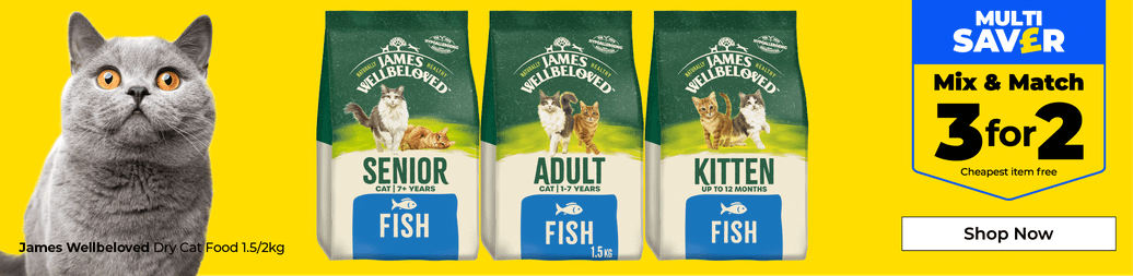 Cat Supplies & Accessories | Food, Toys & More | Jollyes