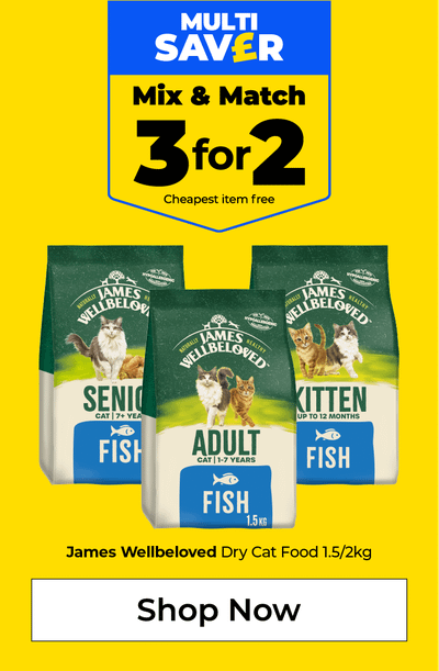 Cat Supplies & Accessories | Food, Toys & More | Jollyes