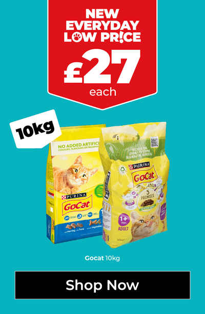 Cat Supplies & Accessories | Food, Toys & More | Jollyes