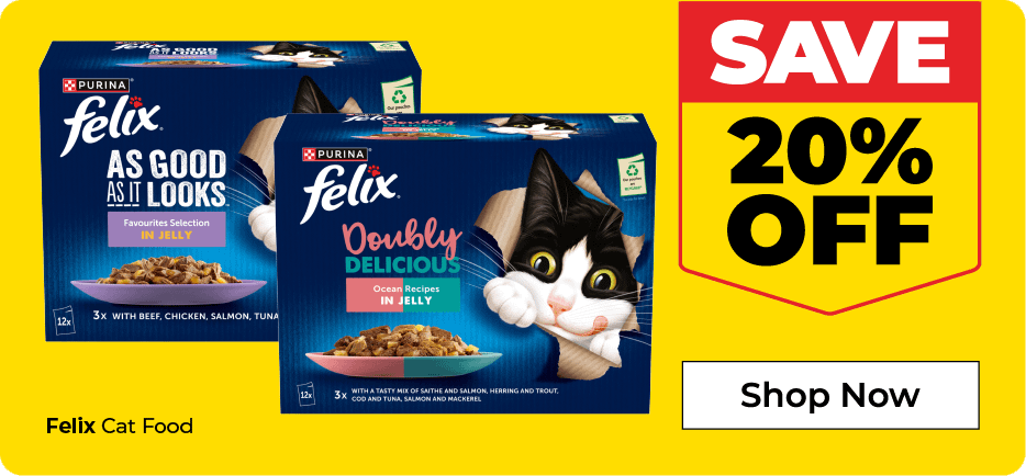 Cat Supplies & Accessories | Food, Toys & More | Jollyes