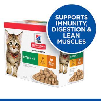 Hills kitten food store